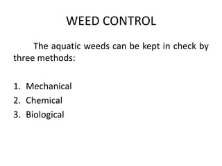 WEEDS & PLANKTONS AND ITS CONTROL | PPTX