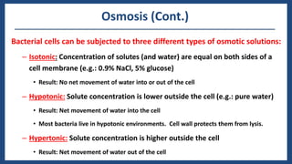 Anatomy of prokaryotic cells and eukaryotic cells with differences | PPT