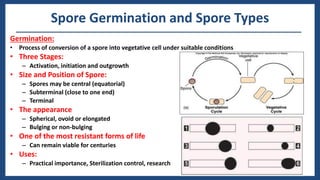 Anatomy of prokaryotic cells and eukaryotic cells with differences | PPT
