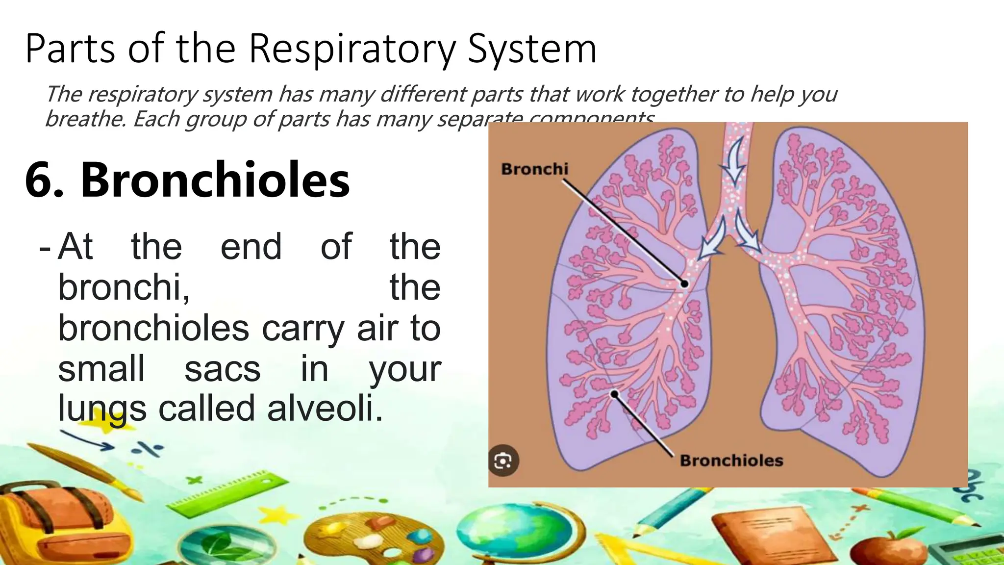 Respiratory System grade-9 Science-Quarter 1-week 1 | PPTX
