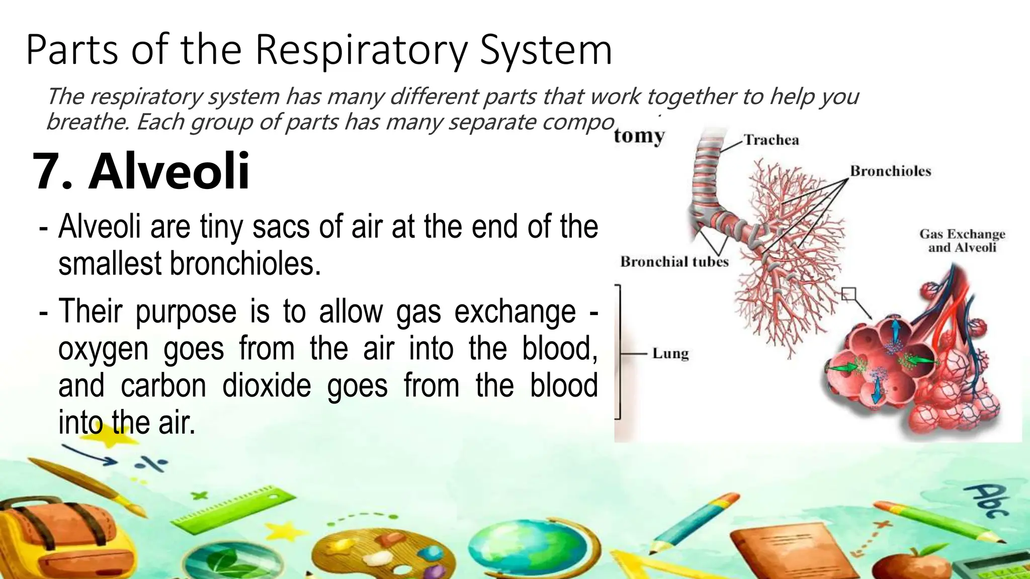 Respiratory System grade-9 Science-Quarter 1-week 1 | PPTX