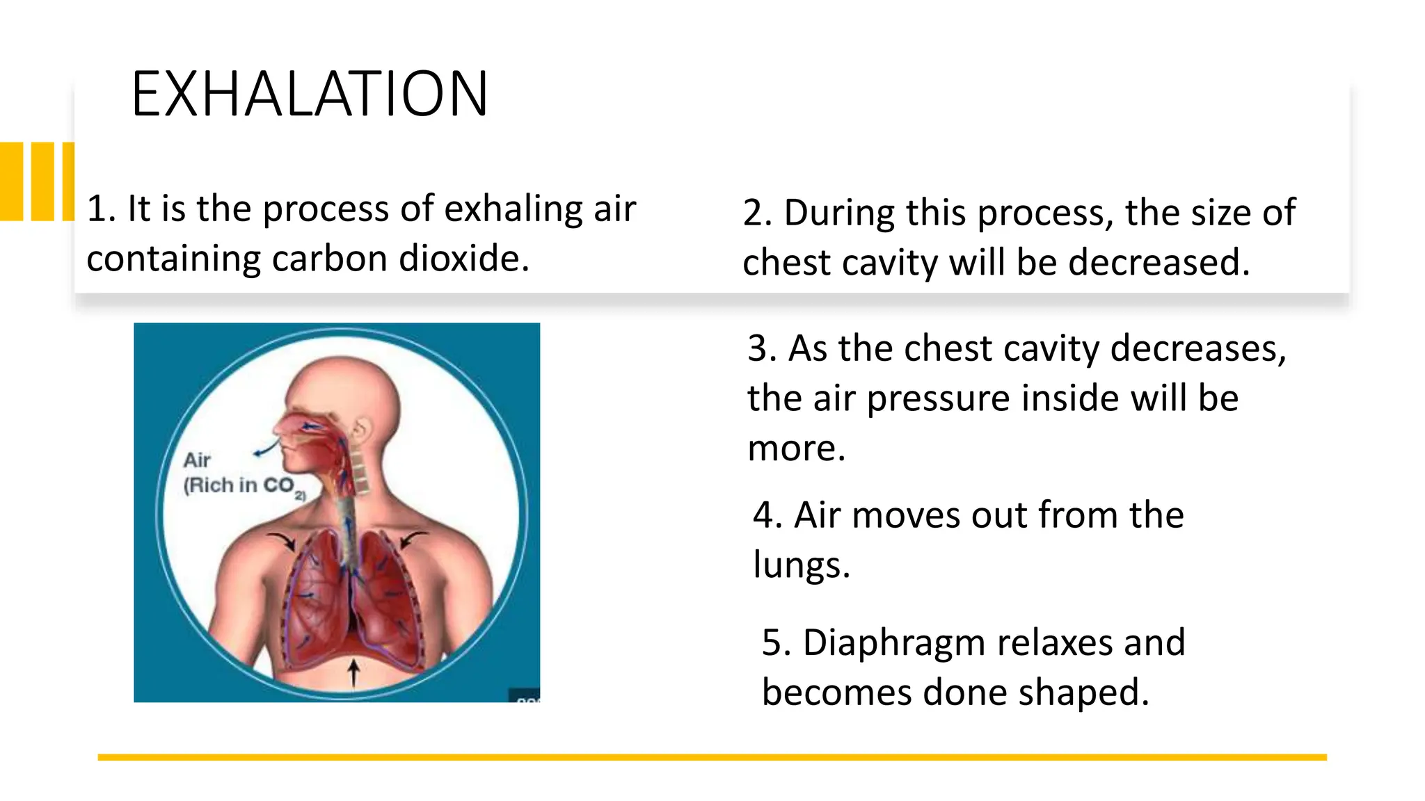 Respiratory System grade-9 Science-Quarter 1-week 1 | PPTX