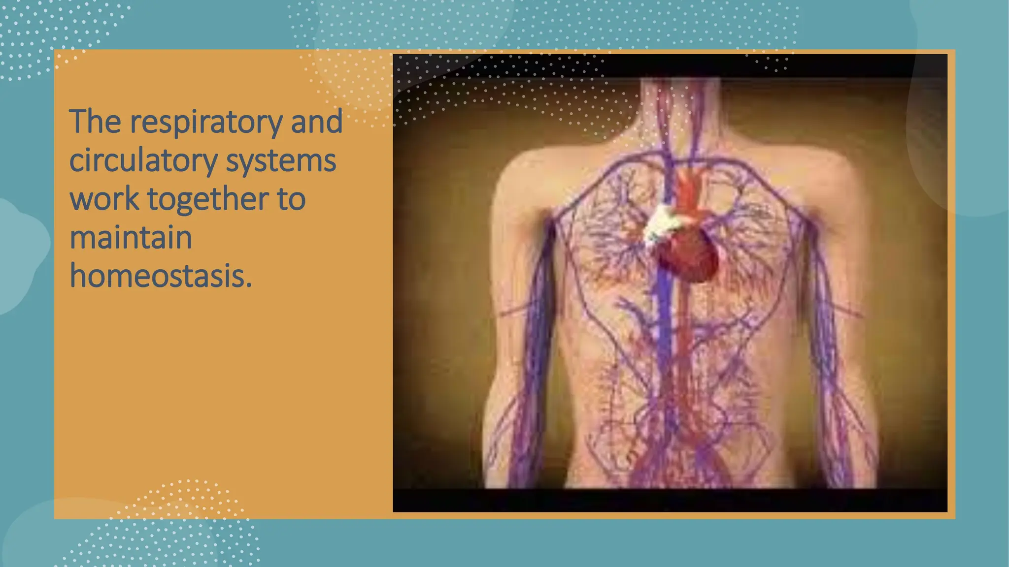 Respiratory System grade-9 Science-Quarter 1-week 1 | PPTX | Lung and ...