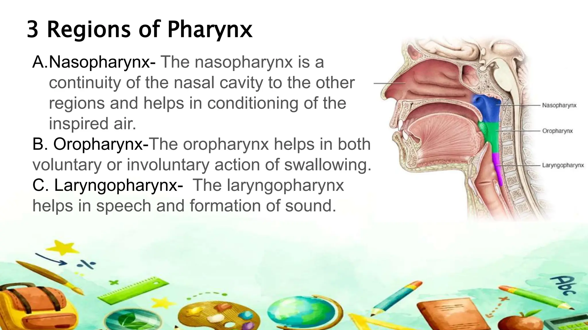 Respiratory System grade-9 Science-Quarter 1-week 1 | PPTX