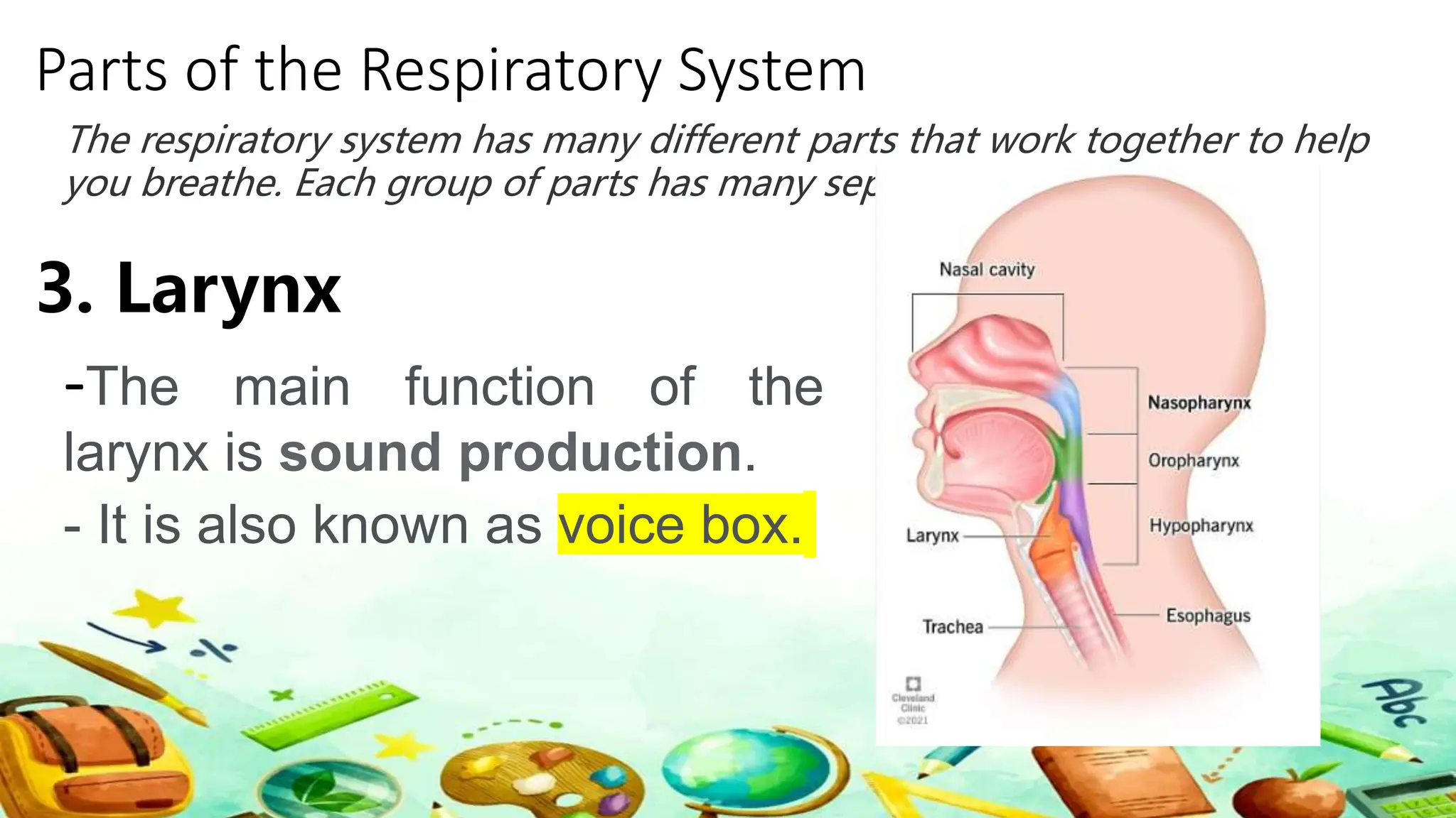 Respiratory System grade-9 Science-Quarter 1-week 1 | PPTX