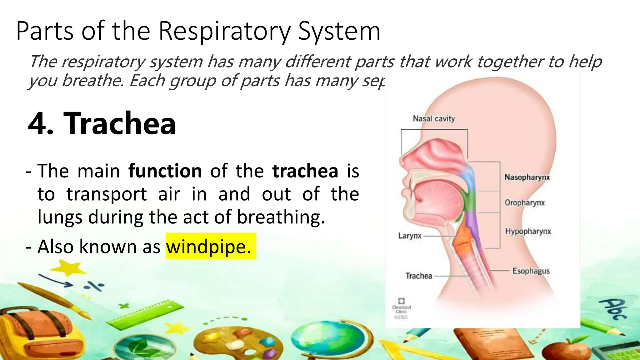 Respiratory System grade-9 Science-Quarter 1-week 1 | PPTX