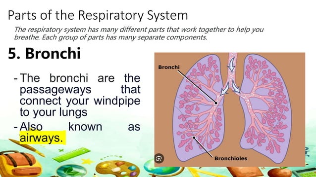 Respiratory System grade-9 Science-Quarter 1-week 1 | PPTX | Lung and ...