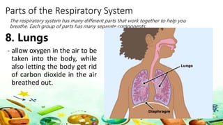 Respiratory System grade-9 Science-Quarter 1-week 1 | PPTX
