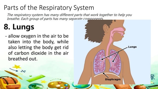 Respiratory System grade-9 Science-Quarter 1-week 1 | PPTX | Lung and Respiratory Health ...