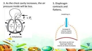 Respiratory System grade-9 Science-Quarter 1-week 1 | PPTX