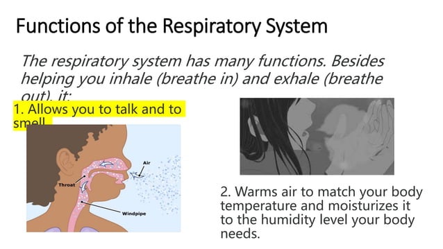 Respiratory System grade-9 Science-Quarter 1-week 1 | PPTX | Lung and ...