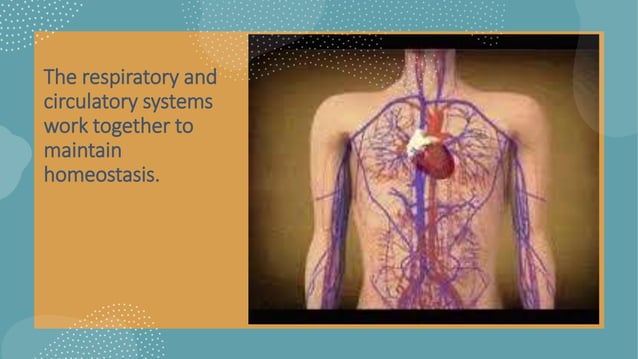 Respiratory System grade-9 Science-Quarter 1-week 1 | PPTX | Lung and ...