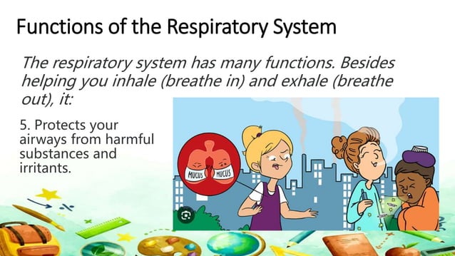 Respiratory System grade-9 Science-Quarter 1-week 1 | PPTX | Lung and ...