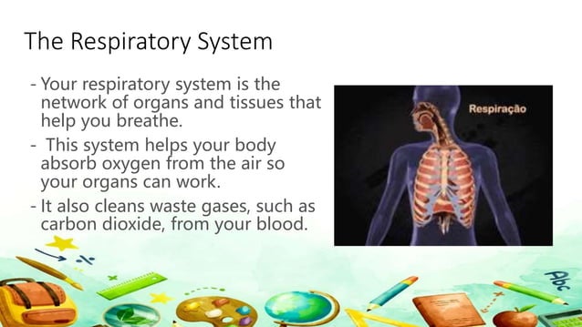 Respiratory System grade-9 Science-Quarter 1-week 1 | PPTX | Lung and Respiratory Health ...