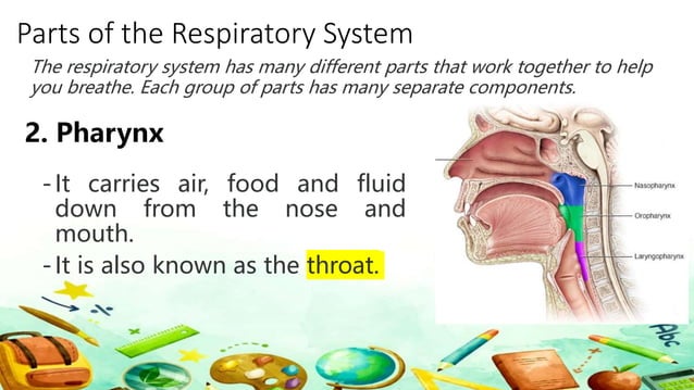 Respiratory System grade-9 Science-Quarter 1-week 1 | PPTX | Lung and ...