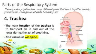 Respiratory System grade-9 Science-Quarter 1-week 1 | PPTX