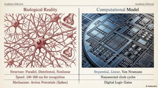 Models of Neuron and Directed Graph - From Biological Inspiration to ...