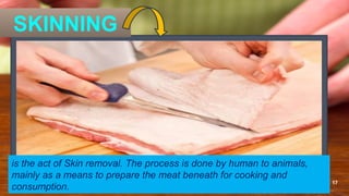 Cookery 10 Types of Knives Identify and Discuss Basic Methods of Meat ...