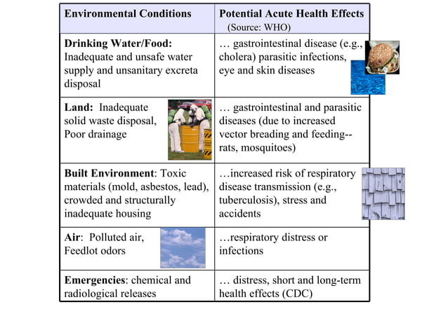 Week 1 Assignment-Environmental Health Overview | PPT