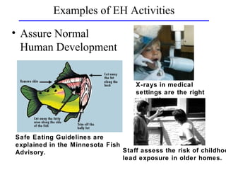 Week 1 Assignment-Environmental Health Overview | PPT