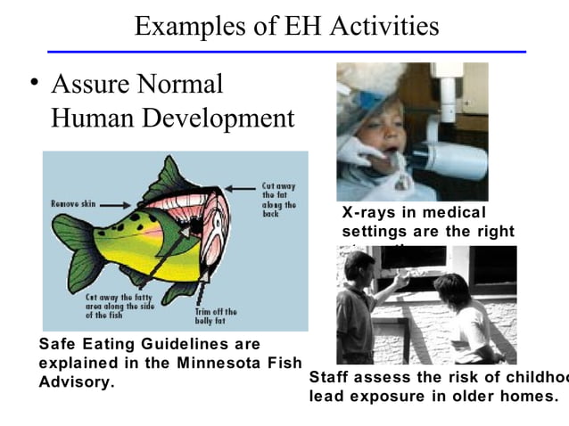 Week 1 Assignment-Environmental Health Overview | PPT