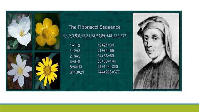 Fibonacci Sequence Ppt