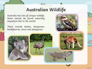 Week-11-powerpoint-all-about-Australia.pdf | Australia and Oceania ...