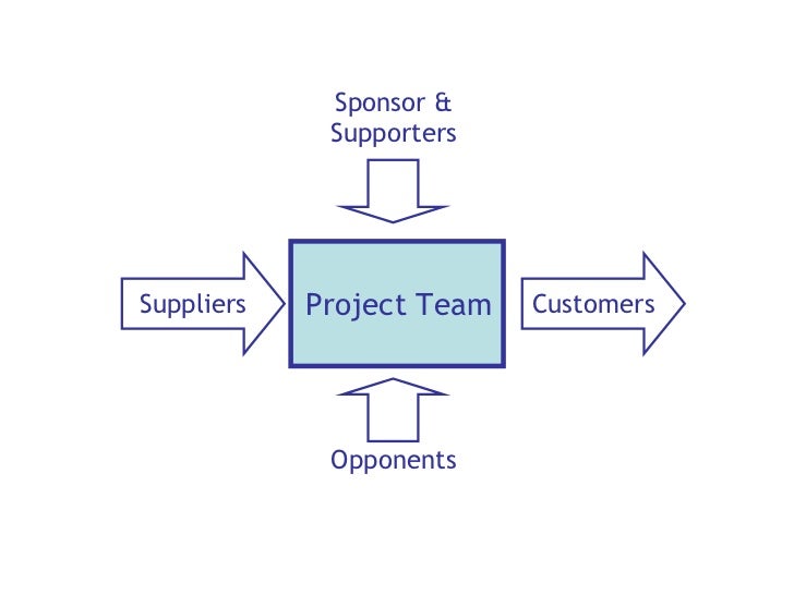The Project Management Process - Week 1