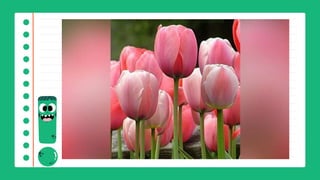 WEEK-2-3RD-QUARTER Grade 7 Types of Sentence .pptx