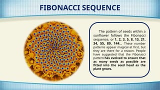 WEEK-2-Getting-to-Know-Mathematics-Nature-of-Mathematics-and-Fibonacci ...