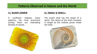 WEEK-2-Getting-to-Know-Mathematics-Nature-of-Mathematics-and-Fibonacci ...