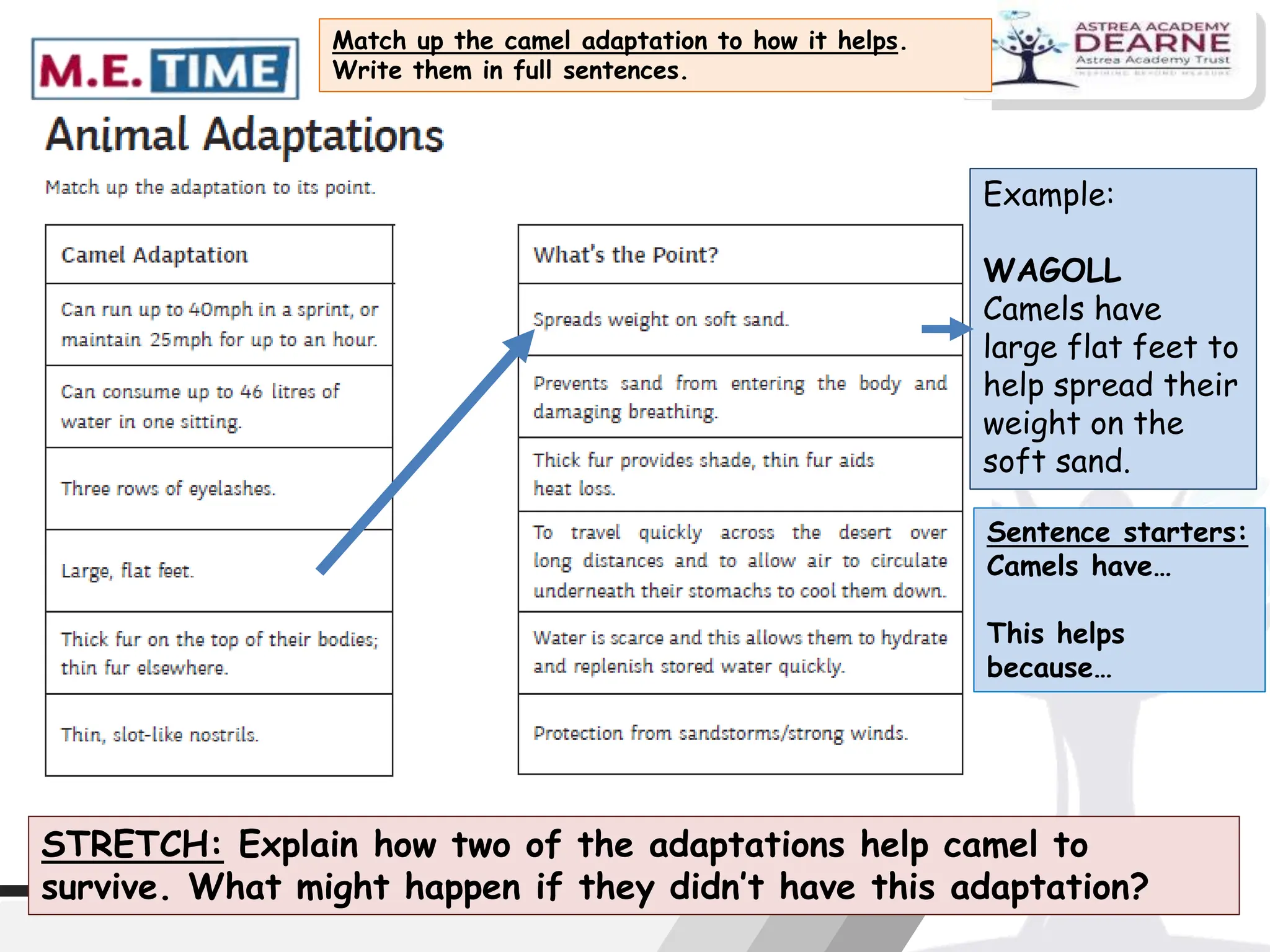 Week-2-Lesson-3-Camel-adaptations.ppt goALS | PPTX