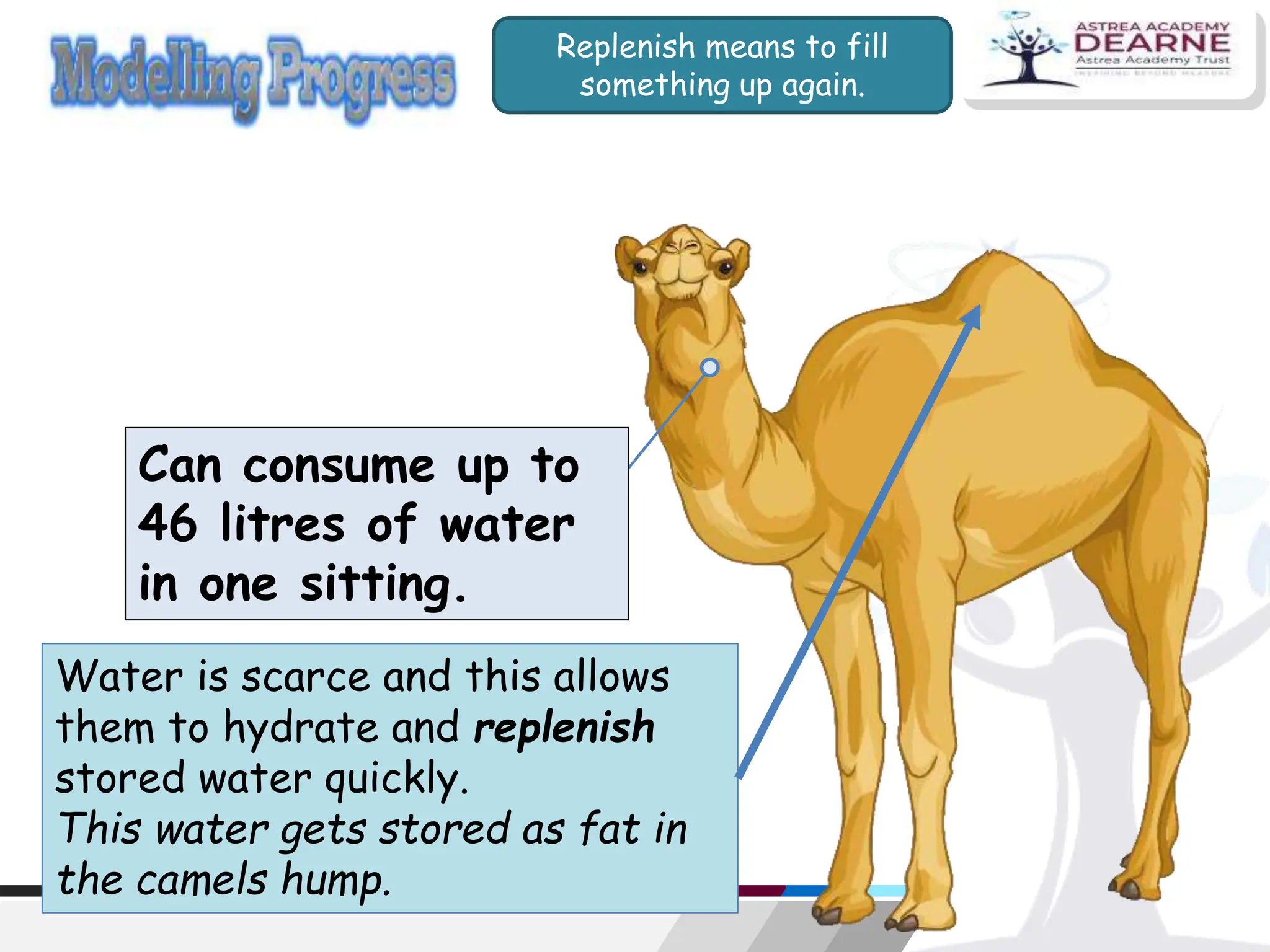 Week-2-Lesson-3-Camel-adaptations.ppt goALS | PPTX