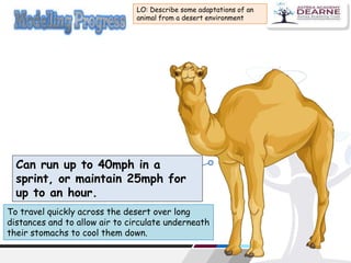 Week-2-Lesson-3-Camel-adaptations.ppt goALS | PPTX | Geography | Science