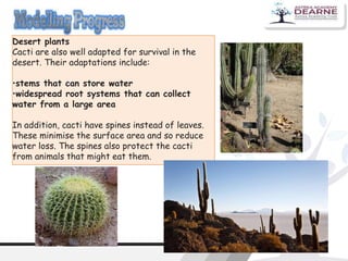 Week-2-Lesson-3-Camel-adaptations.ppt goALS | PPTX | Geography | Science