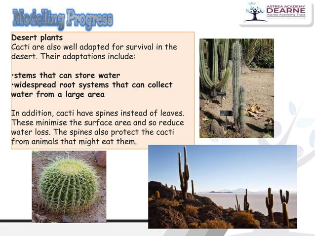 Week-2-Lesson-3-Camel-adaptations.ppt goALS | PPTX | Geography | Science