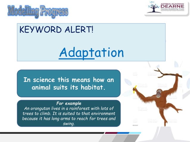 Week-2-Lesson-3-Camel-adaptations.ppt goALS | PPTX | Geography | Science