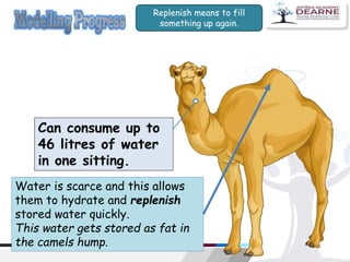 Week-2-Lesson-3-Camel-adaptations.ppt goALS | PPTX | Geography | Science