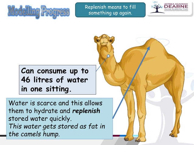 Week-2-Lesson-3-Camel-adaptations.ppt goALS | PPTX | Geography | Science
