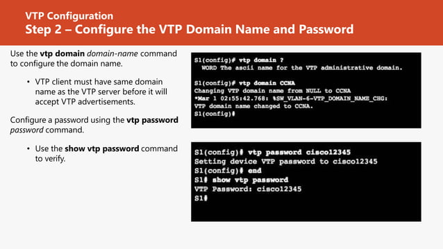 Scaling-VLANs-PPT.pptx | Computer Networking | Computing