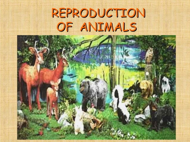 WEEK-3-ANIMAL-REPRODUCTION sample presentation.ppt