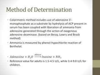 Week-3-Diagnostic-Enzymology-ACPALPASTALT (1).pdf