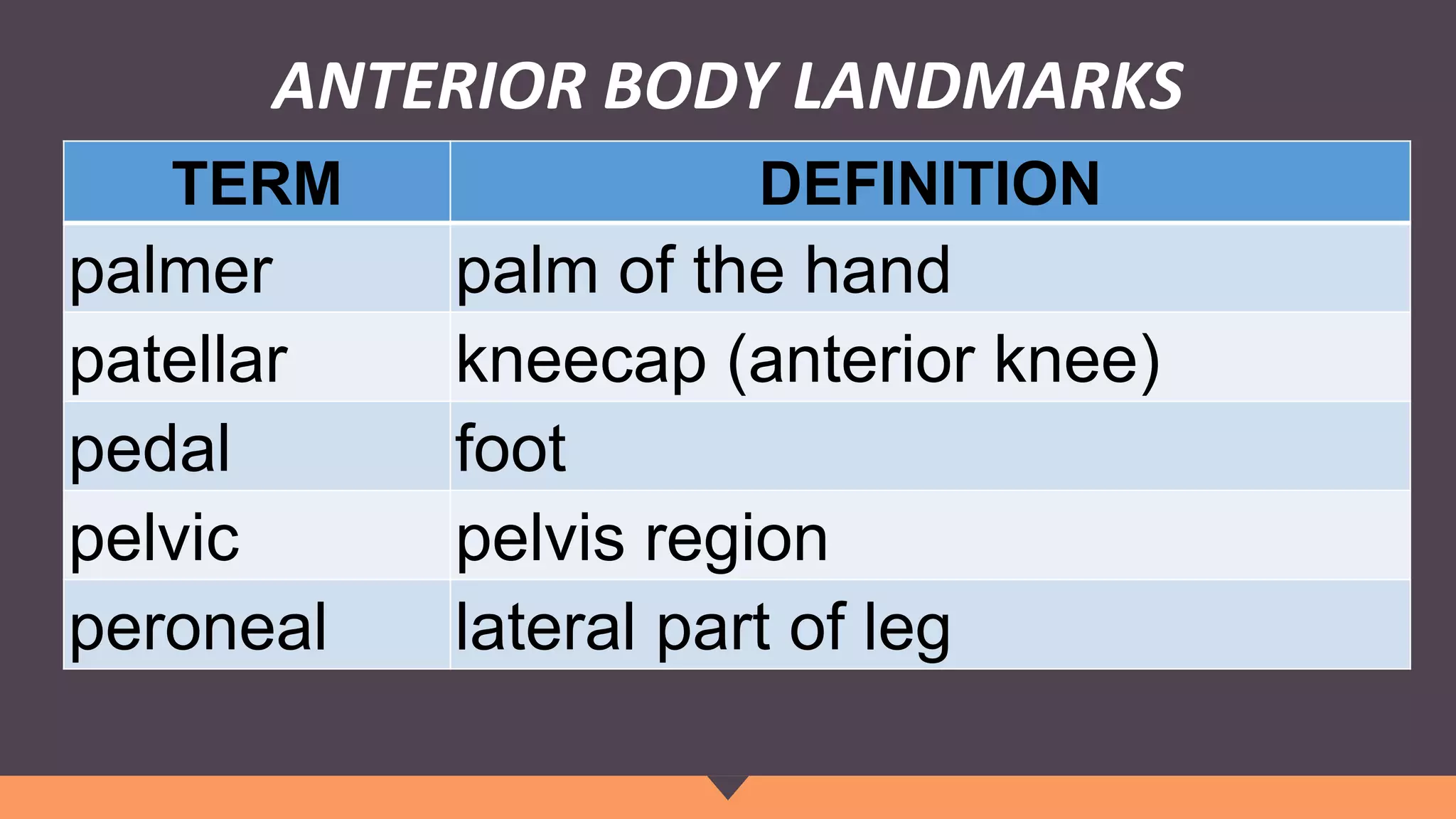 Week-4-Language-of-Anatomy.pptx