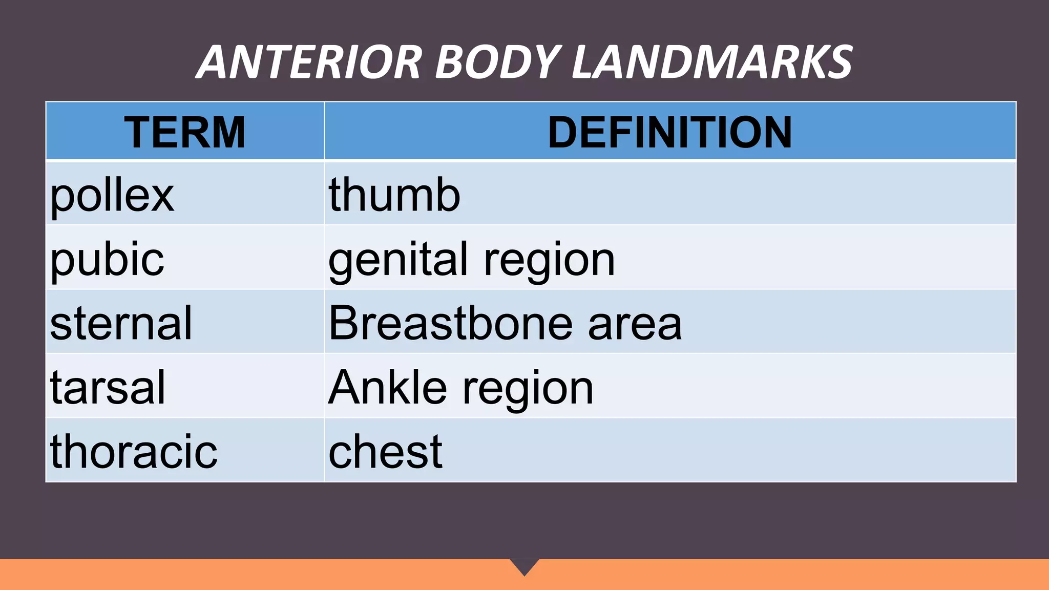 Week-4-Language-of-Anatomy.pptx