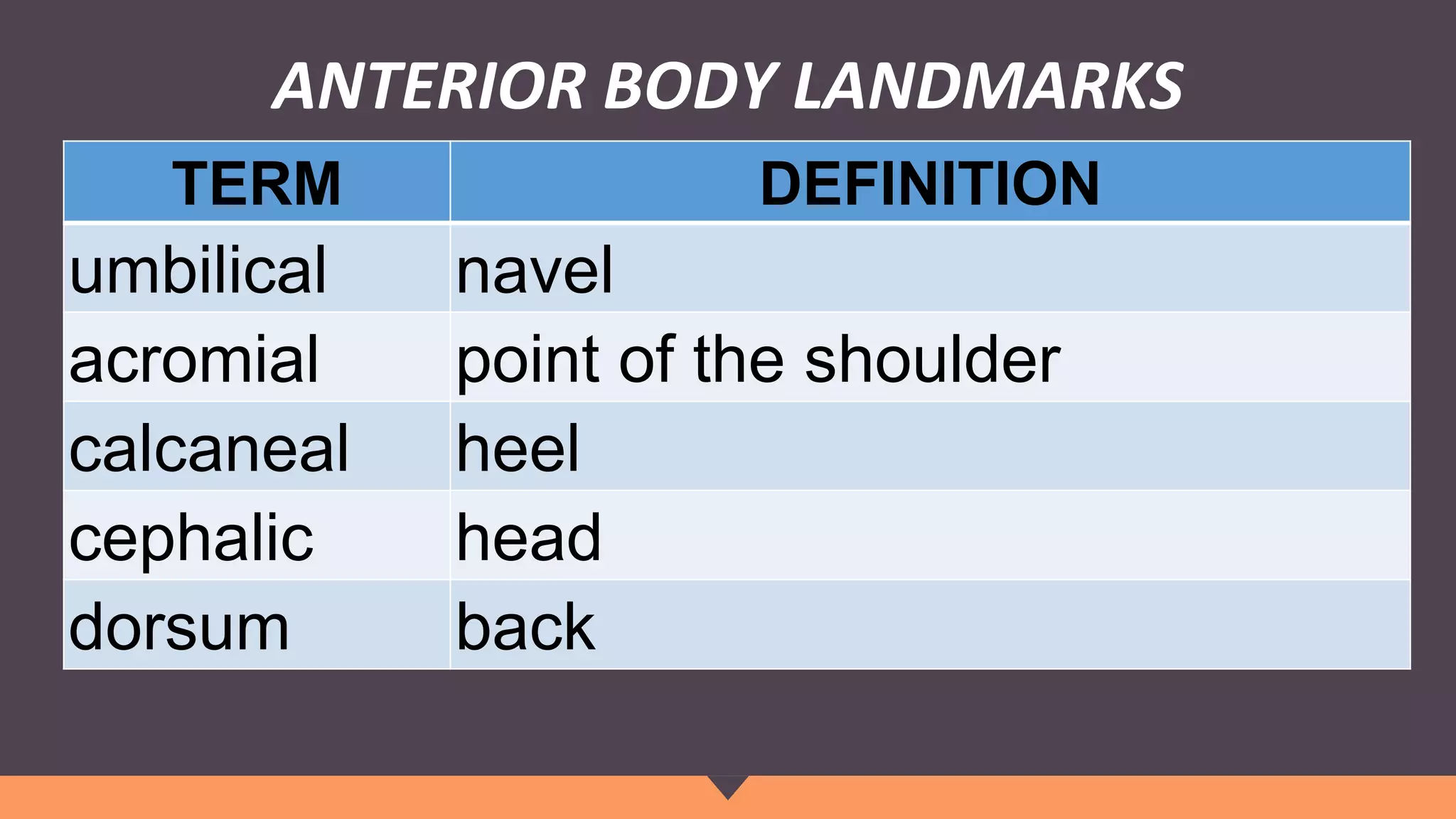 Week-4-Language-of-Anatomy.pptx