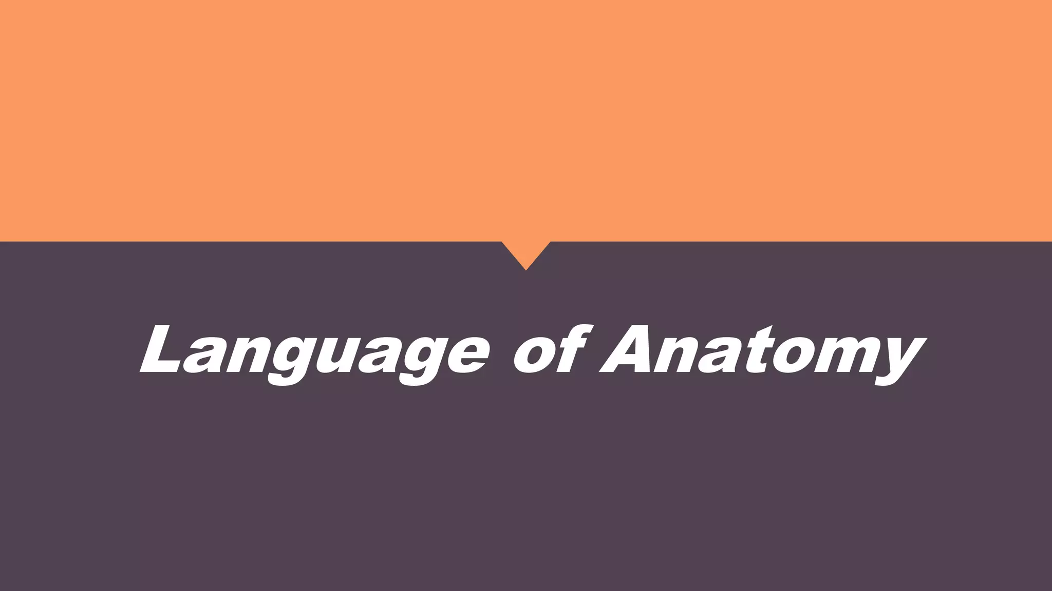 Week-4-Language-of-Anatomy.pptx