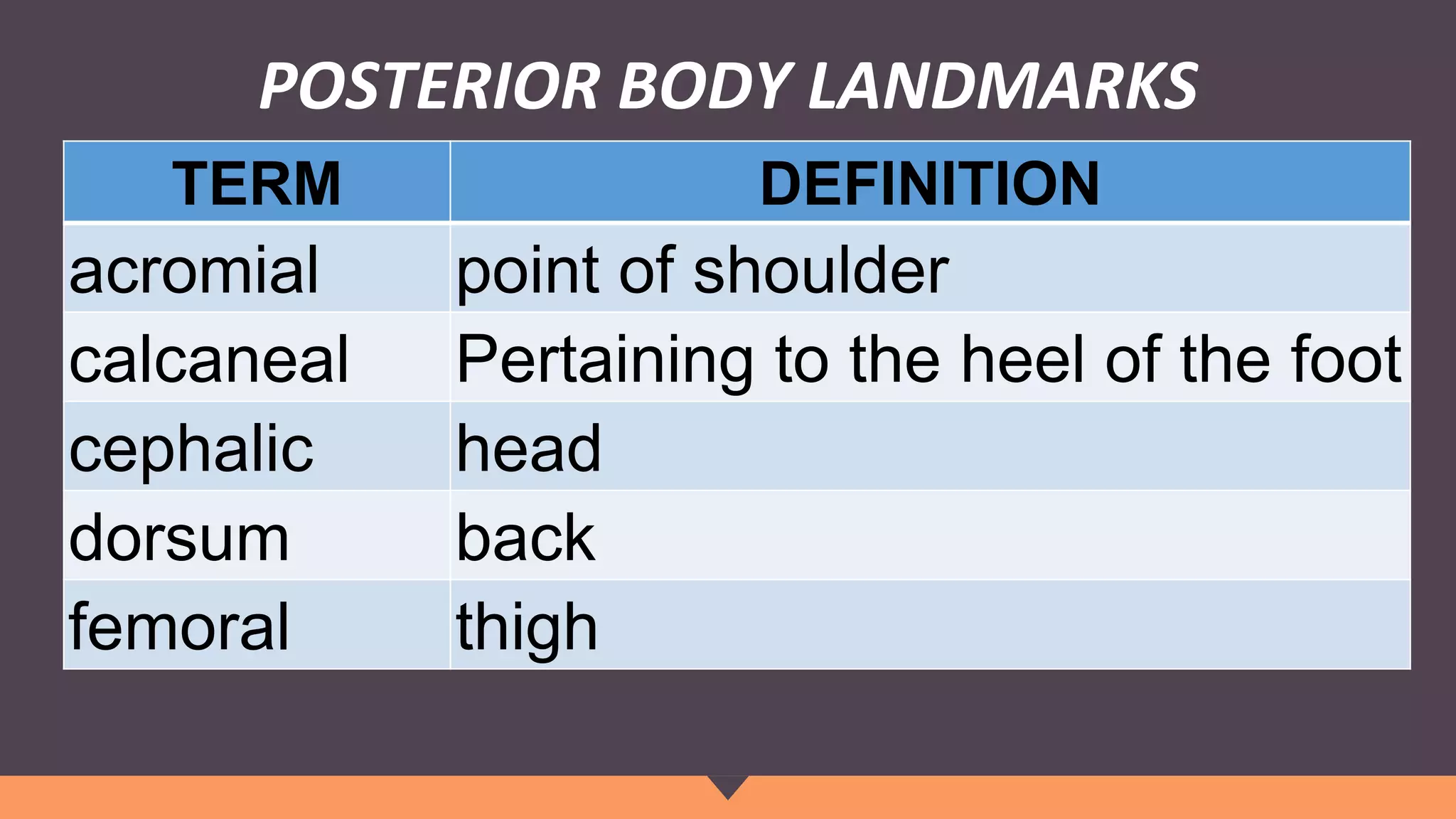 Week-4-Language-of-Anatomy.pptx