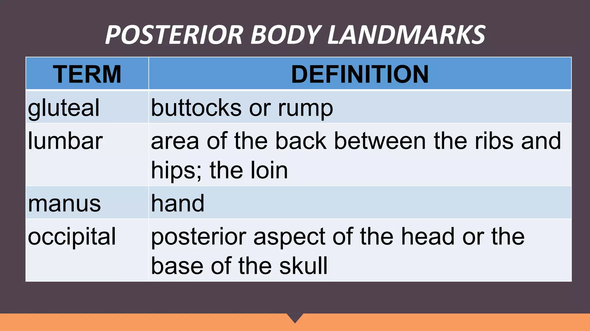 Week-4-Language-of-Anatomy.pptx