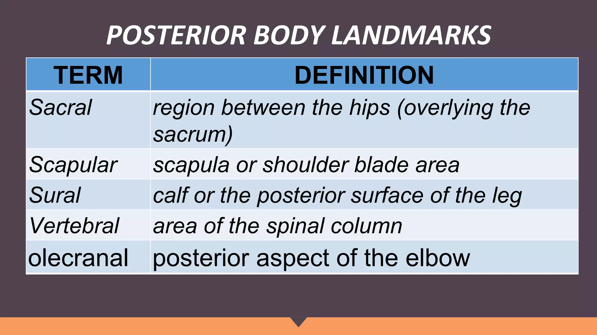 Week-4-Language-of-Anatomy.pptx