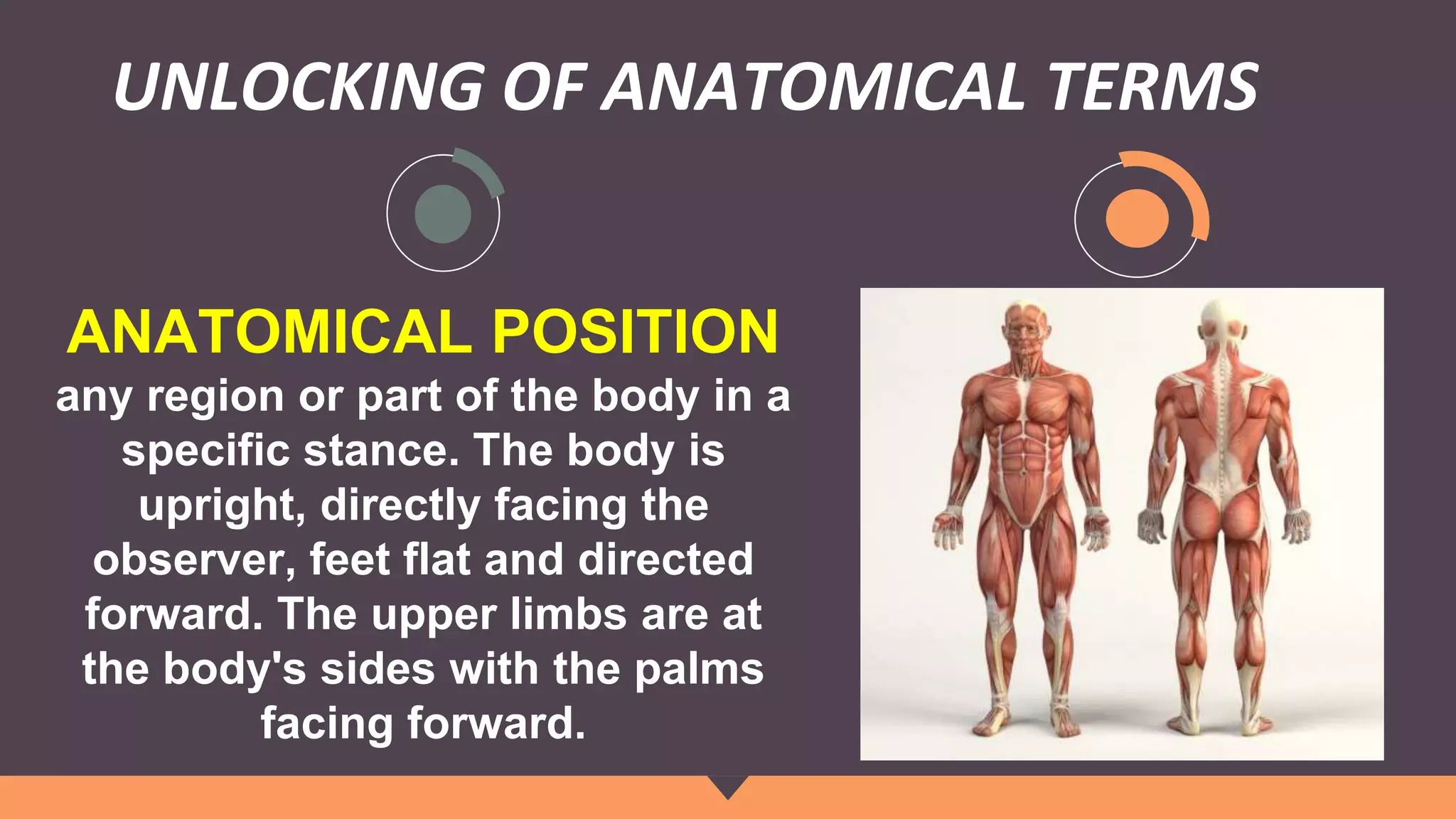 Week-4-Language-of-Anatomy.pptx